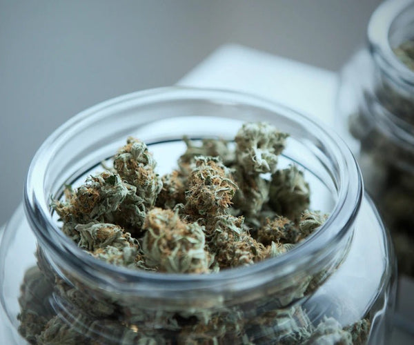 The Rise of HHC: What You Need to Know – Relivia