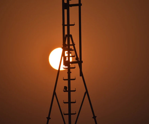 The Science Behind Cannabinoids: Understanding Their Magic – Relivia